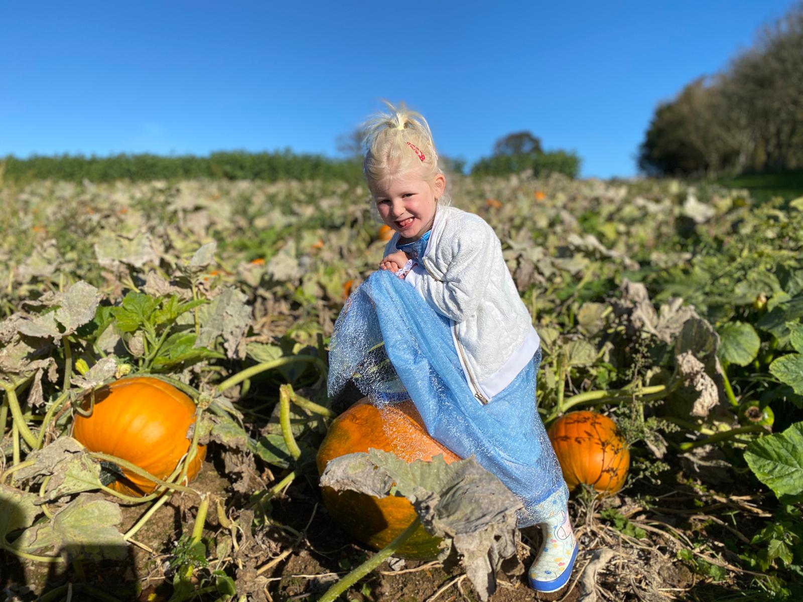 Vale Pick Your Own | | Pumpkin Picking